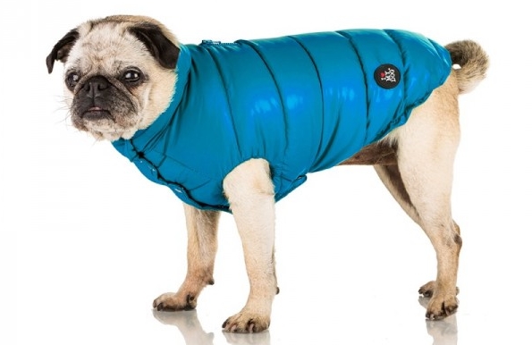 Oblečky pro buldočky, mopse a chrty - Pet Amour